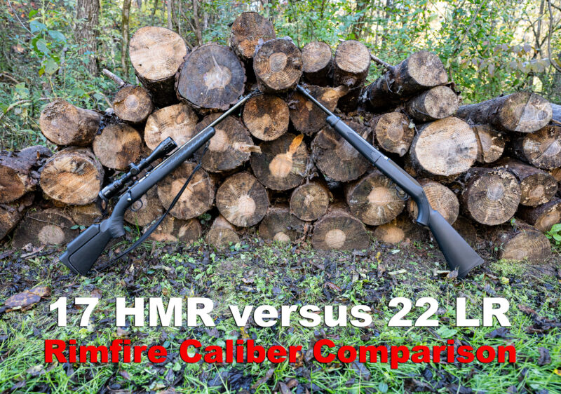 17 HMR vs 22 | What's A Better Rimfire Caliber?