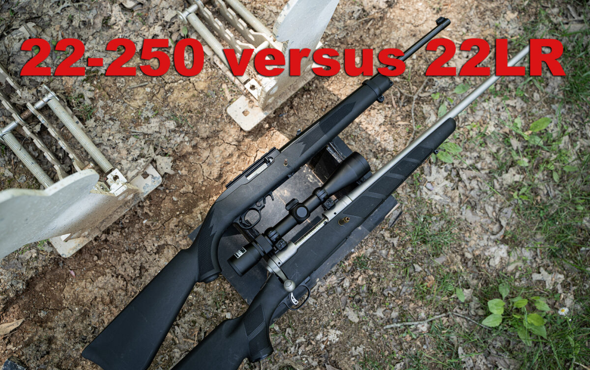 22-250 vs 22LR | AmmoForSale.com