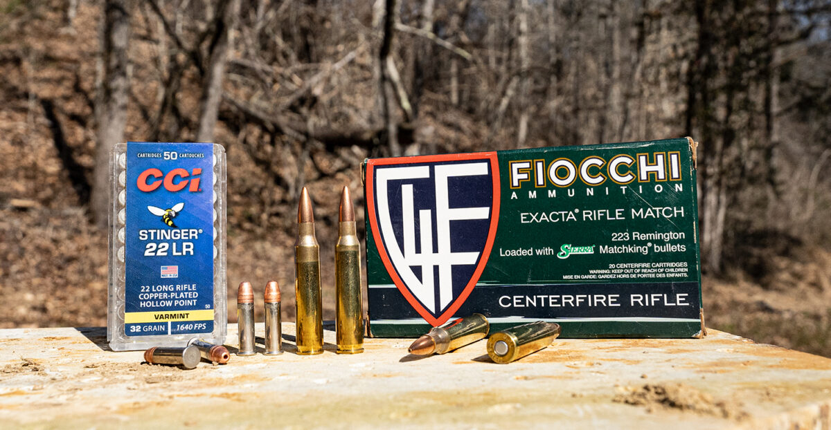 22LR vs 223 | Ballistics and Common Uses Compared