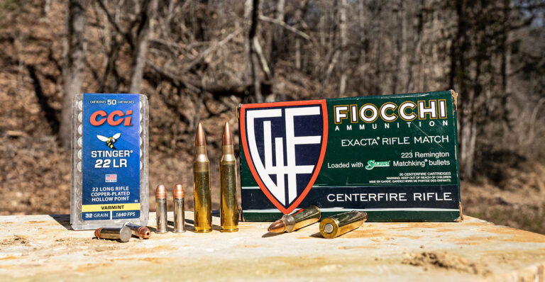 22LR vs 223 | Ballistics and Common Uses Compared