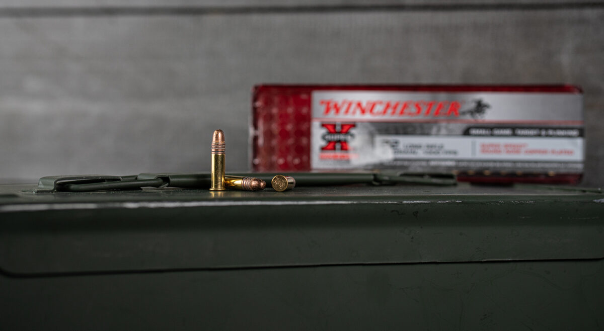 Best 22LR for Coyote Hunting | Our Picks