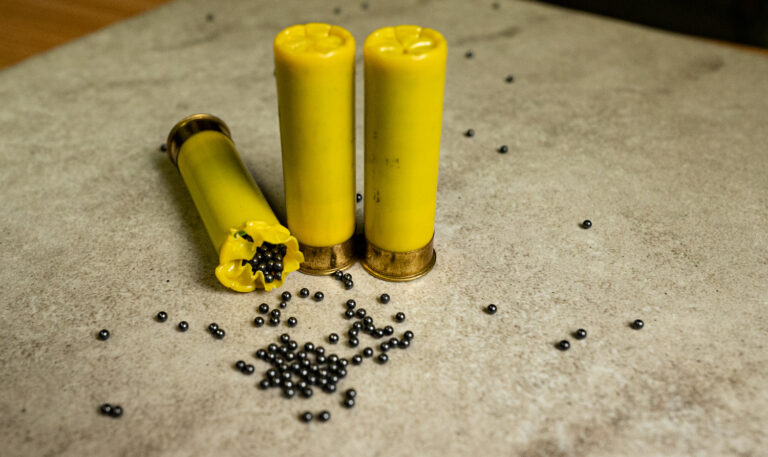 How to Dove Hunt | The Basics for Beginners