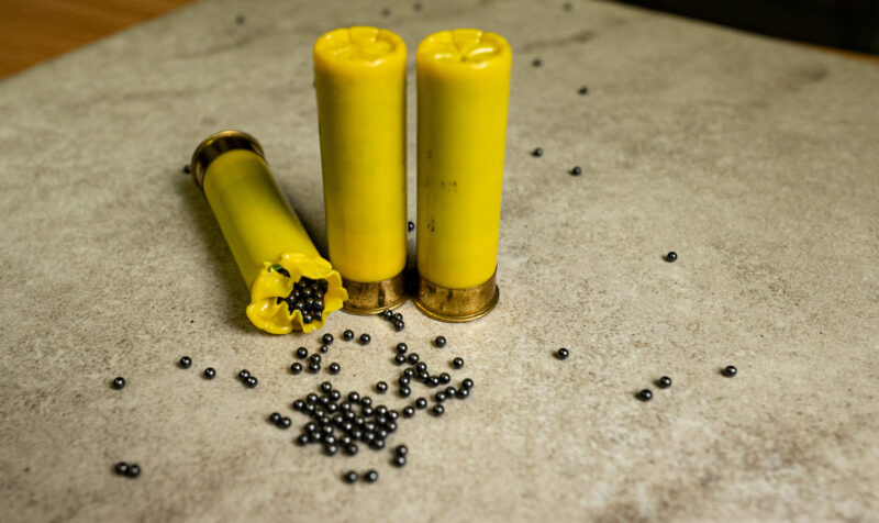 How to Dove Hunt | The Basics for Beginners