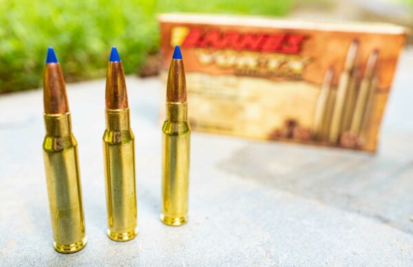 Best Caliber for Hog Hunting | What's Your Best Shot?