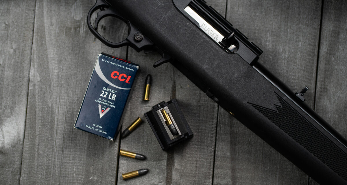 Best 22LR Hunting Ammo | AmmoForSale.com