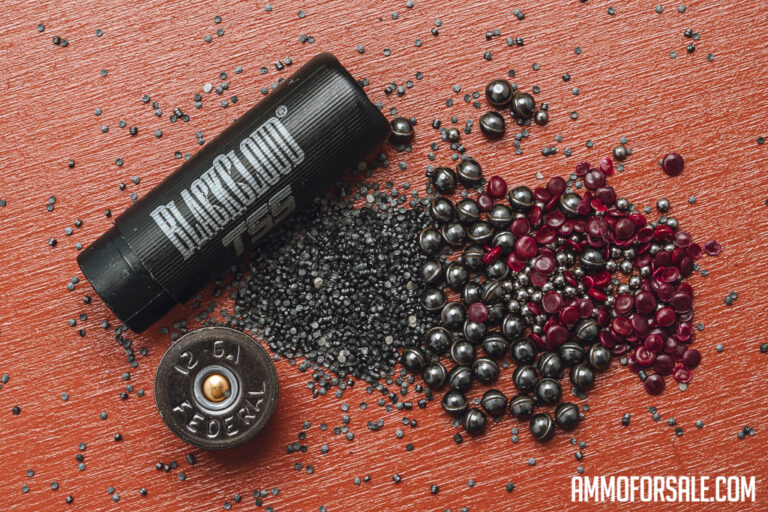 Best 12 Gauge Ammo for Duck Hunting