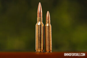 223 vs 6.5 Creedmoor | Is Creedmoor Worth iI?