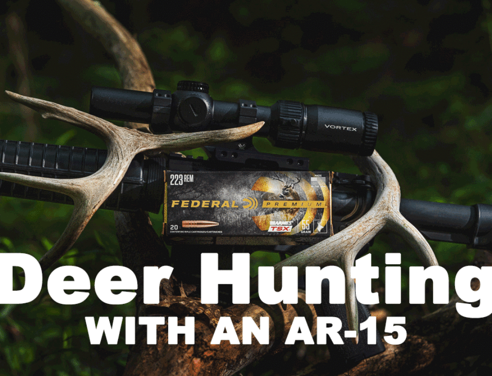 Best 223 Hunting Ammo