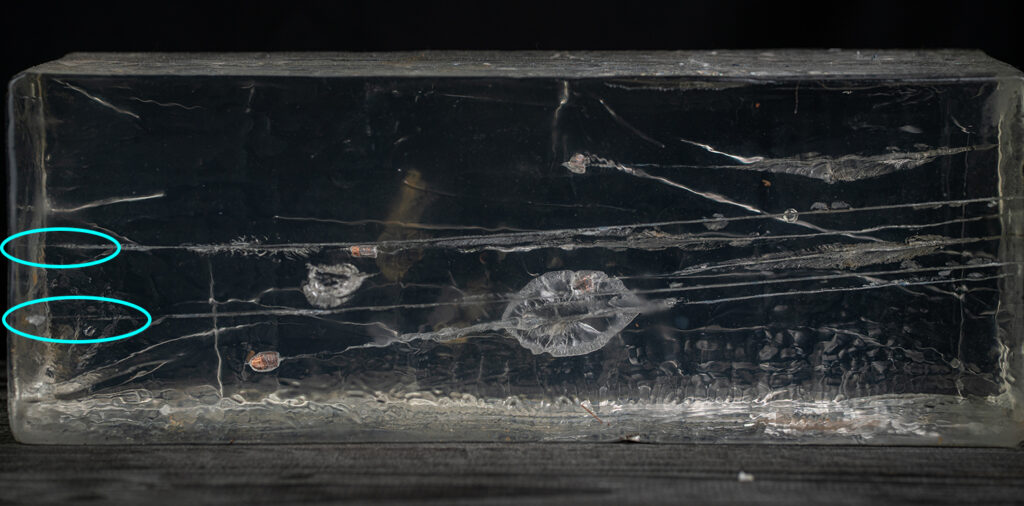 Best 22 LR Ammo for Self Defense | AmmoForSale.com