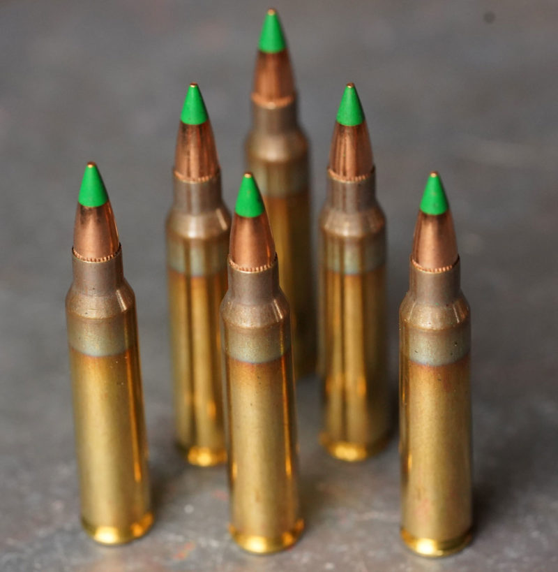 M855 vs M193 - What's the Difference? | AmmoForSale.com