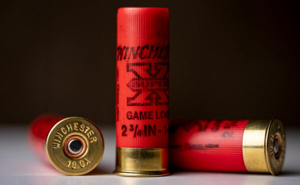 What Are the Basic Parts of Ammunition? | AmmoForSale.com