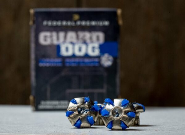 What’s the Best .45 Acp AMMO for Personal Defense? | AmmoForSale.com