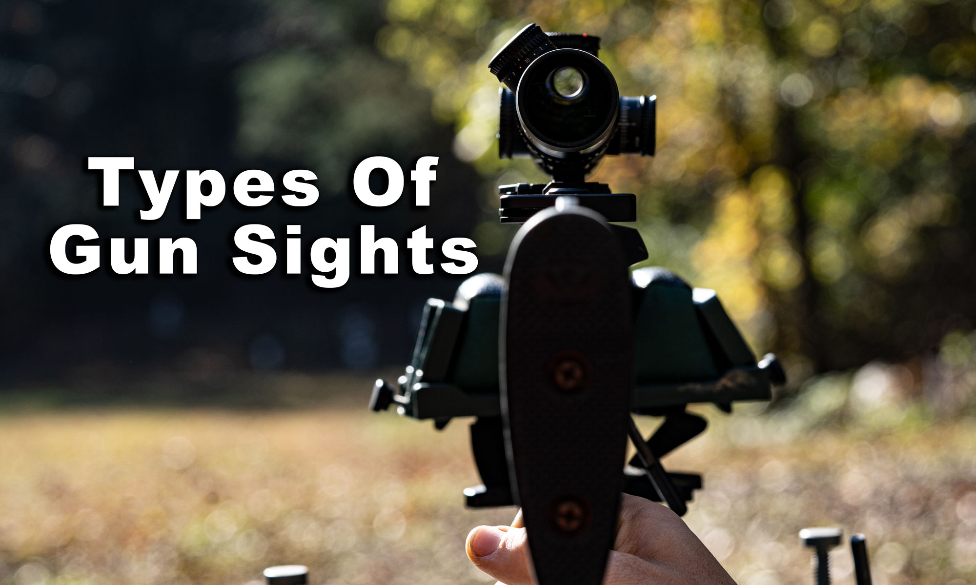 Types Of Gun Sights What s Best For You Types Of Gun Sights What s Best For You
