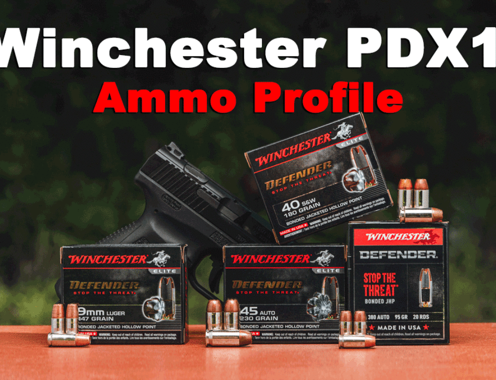 Best 10mm Ammo for Self-Defense, Training & Bear | AmmoForSale.com
