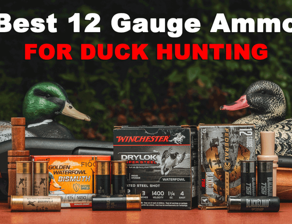 Best 223 Hunting Ammo